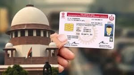 SC: LMV License Permits Driving of Transport Vehicles